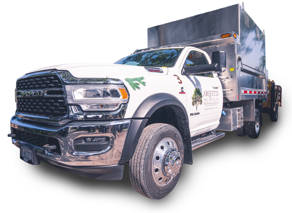 Home - Arquette Tree Service